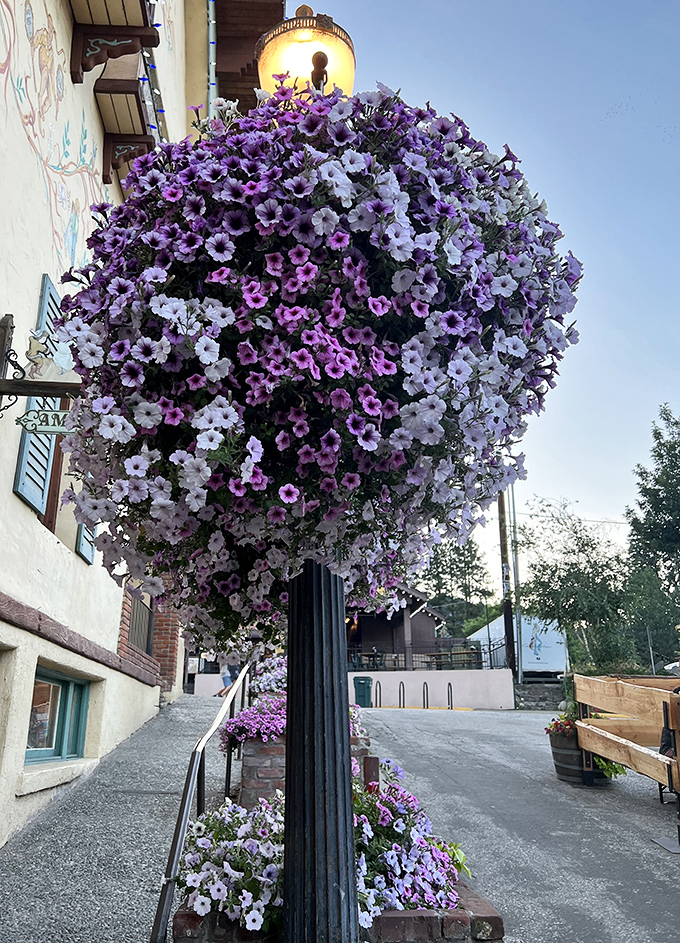 Nature and nurture combine in these spectacular hanging flower baskets, proving that Leavenworth's commitment to beauty extends to every lamppost and railing in town.