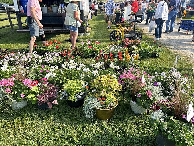 A rainbow of blooms tempts gardeners who swear they're "just looking" this time.