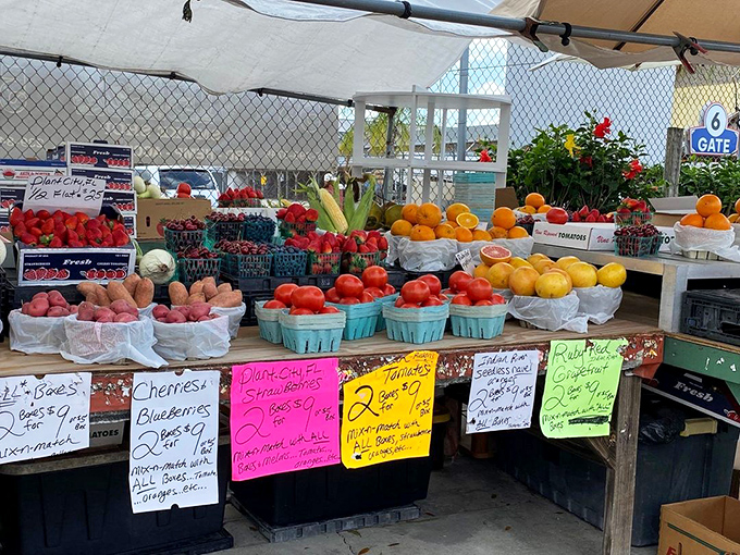 Nature's candy counter! These vibrant fruits and vegetables look like they jumped straight out of a food photographer's dream portfolio.