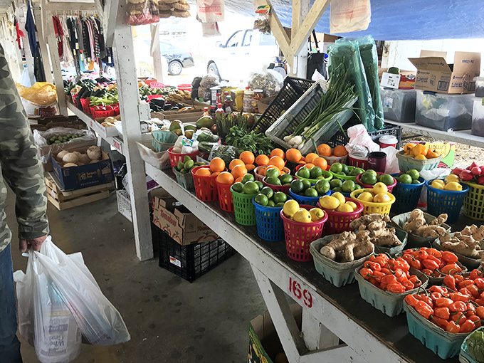 Nature's color palette on full display! These farm-fresh fruits and vegetables make grocery store produce look like it's been through witness protection.