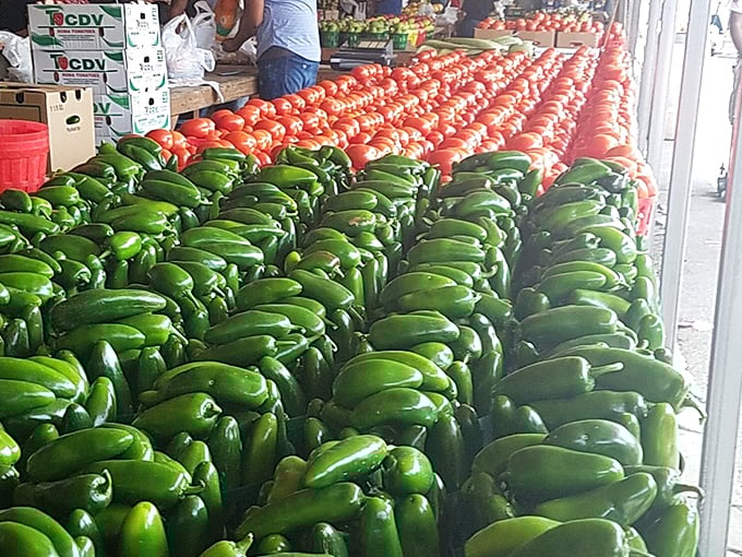 Nature's jewel box! Farm-fresh bell peppers and tomatoes create a vibrant mosaic that puts supermarket produce to shame.