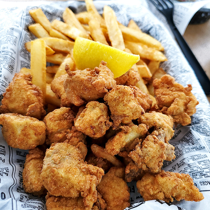 Golden-fried gator bites with crispy fries &ndash; the ultimate Florida initiation ritual that transforms tourists into honorary locals with each crunchy bite.