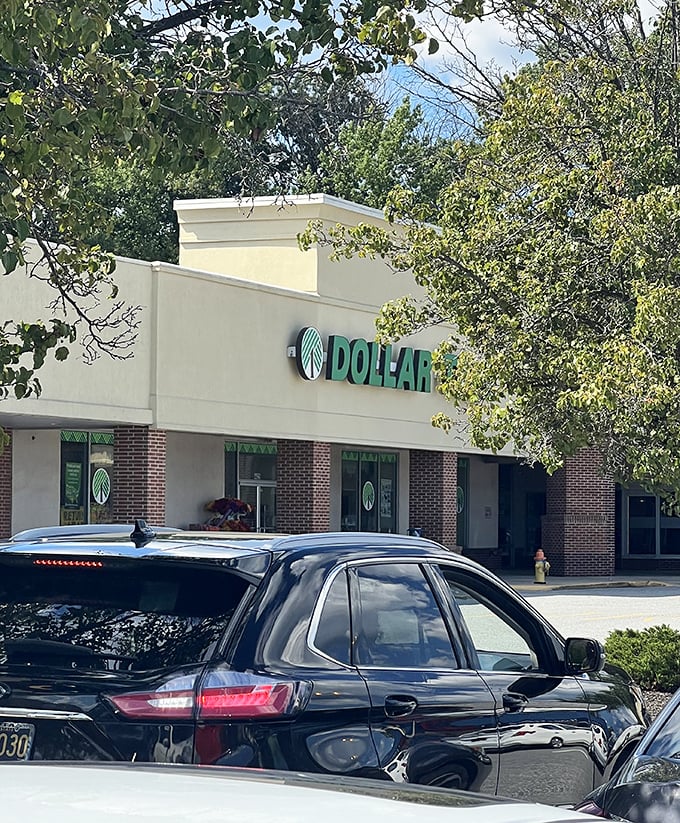 Nestled among leafy surroundings, this Dollar Tree outpost proves saving money can happen in surprisingly pleasant settings.
