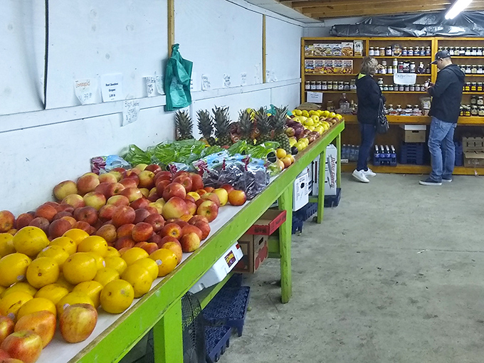 Farm-fresh produce that makes grocery store offerings look like distant relatives. These apples didn't travel further than you did today.