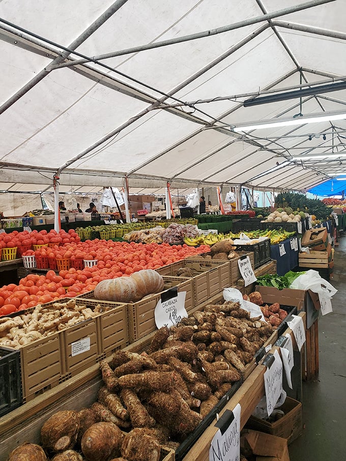 Nature's bounty on full display! From root vegetables that could win county fair ribbons to tomatoes that would make an Italian grandmother weep with joy.