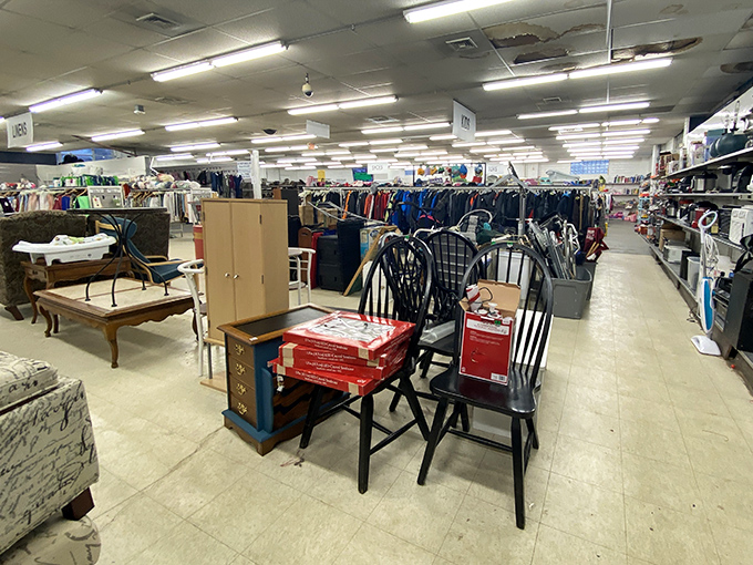 Furniture finds that span decades sit patiently waiting for their next chapter. That bench could tell stories&mdash;if only it could talk!
