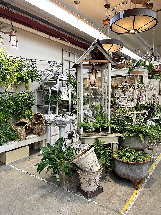 The garden section blooms year-round, where terrariums and vintage planters make even black thumbs feel optimistic about greenery.