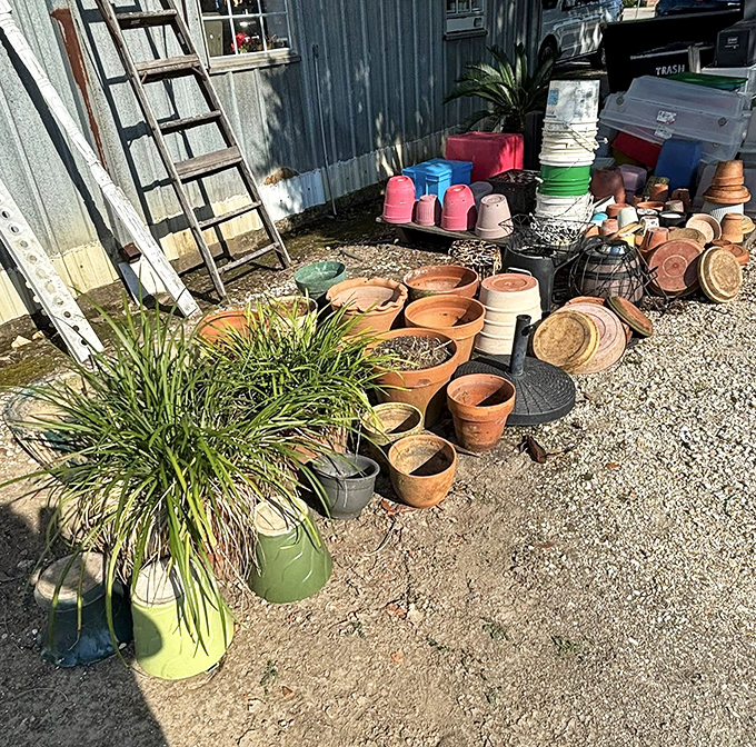 Garden supplies galore for folks who understand that terracotta pots are basically vitamins for your green thumb and mental health.