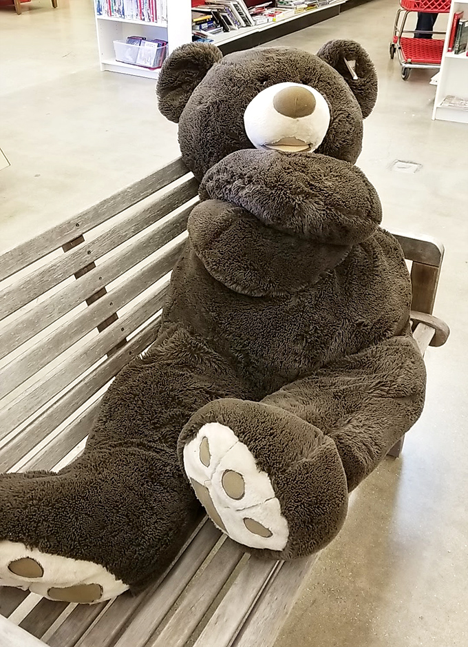 The gentle giant of the toy section stands sentinel. Someone's childhood companion waiting for its next cuddle adventure.