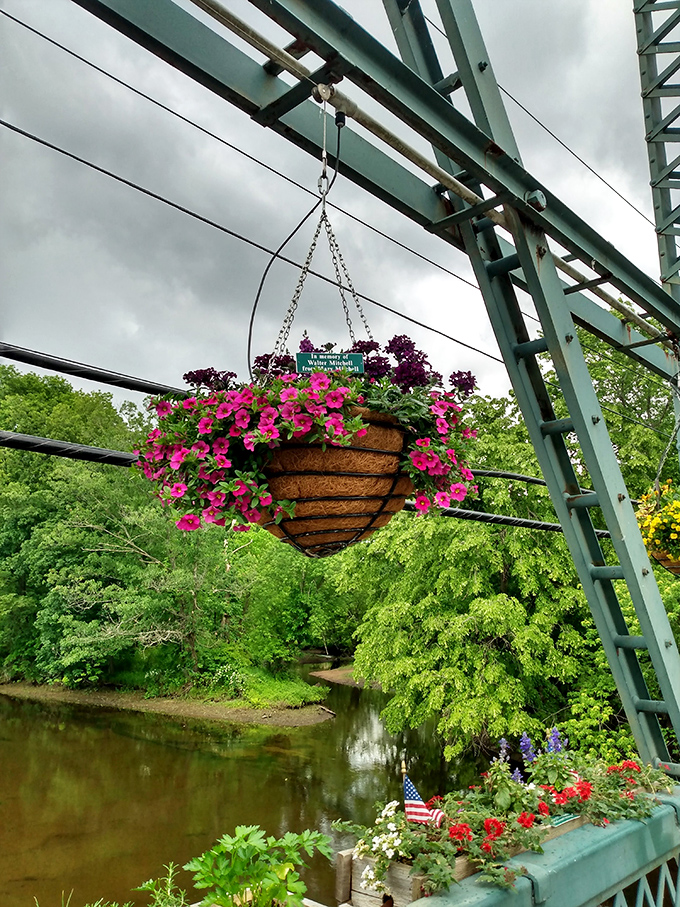 Suspended in mid-air like botanical chandeliers, these hanging baskets prove gravity is just a suggestion when beauty is the mission.