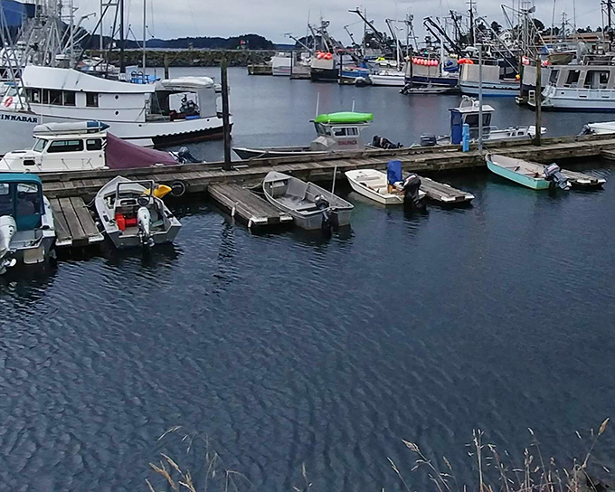 Sitka's working harbor isn't just picturesque—it's the beating heart of a community where boats aren't luxury items but essential tools of trade.