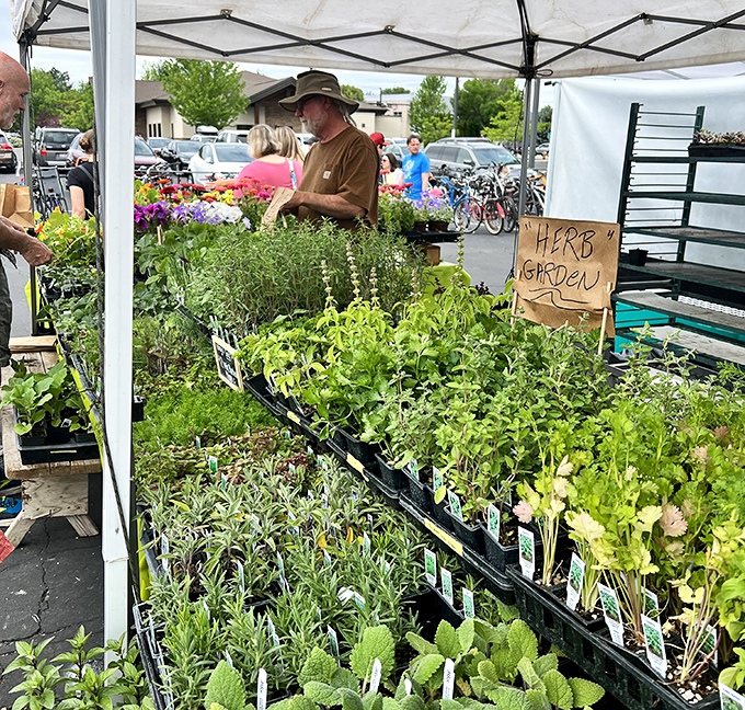 The herb garden stand isn't selling plants&mdash;it's selling possibilities. One whiff of that fresh basil and suddenly you're a contestant on Top Chef. 