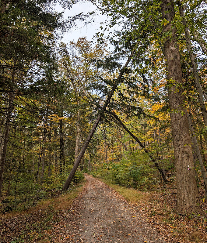 Nature's hallway invites you to wander where the Wi-Fi is weak but the connection is stronger than ever.