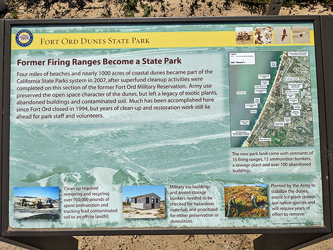 From firing ranges to flourishing ecosystem&mdash;this sign tells the remarkable second act of Fort Ord's coastal landscape. Talk about a successful career change!