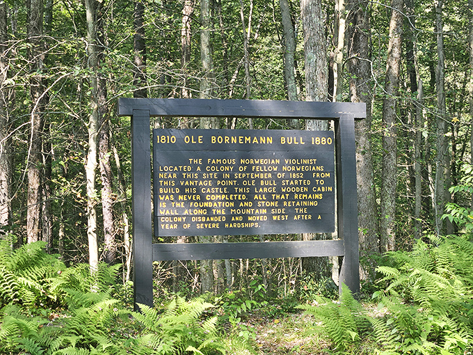 The historical marker tells Ole Bull's ambitious Norwegian colony story, which didn't quite work out but left us something beautiful.