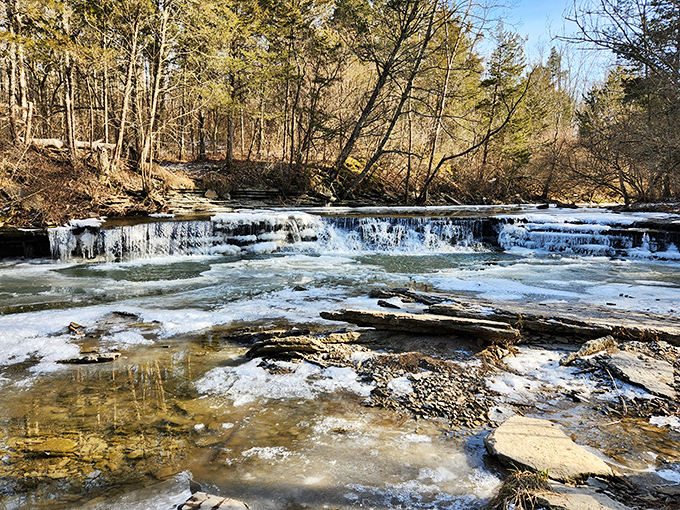 Winter transforms Horseshoe Falls into nature's ice sculpture gallery. The water pauses mid-journey, as if even it needed a break from 2023's relentless pace.