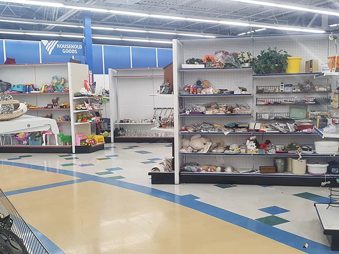 The household goods section transforms everyday kitchen warriors into culinary conquistadors armed with vintage cookware and determination. 