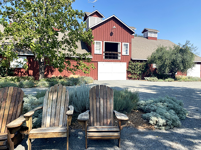 The iconic red barn stands as a testament to Napa's agricultural roots, where Adirondack chairs invite you to sit and stay awhile.