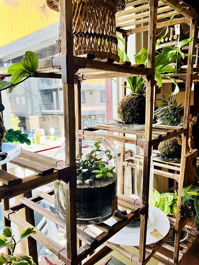 A jungle of vintage planters creates a greenhouse effect. These handcrafted wooden shelves showcase plants that, unlike their plastic counterparts, actually need watering.