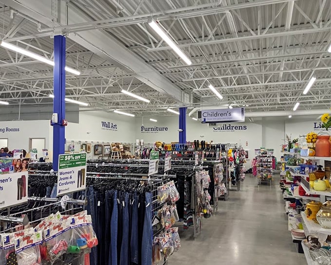 The grand expanse of organized chaos. Department stores wish they had this much variety—Goodwill's aisles are like Netflix for physical objects.