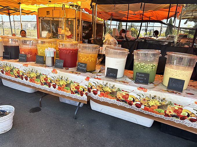 Liquid refreshment paradise! These vibrant aguas frescas stand at attention like a delicious color wheel, each promising sweet relief from treasure-hunting thirst.