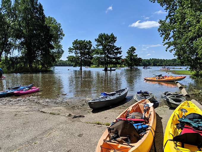Kayak paradise found! Colorful vessels line the shore like a floating candy store, ready to help you explore Tuttle Creek's tree-studded waters.