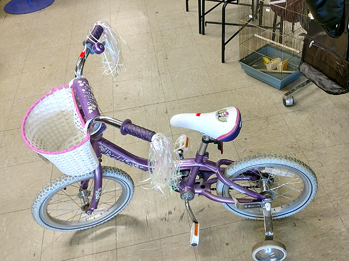 A little girl's dream awaits its next adventure. This purple chariot with training wheels costs less than a single movie ticket with popcorn.
