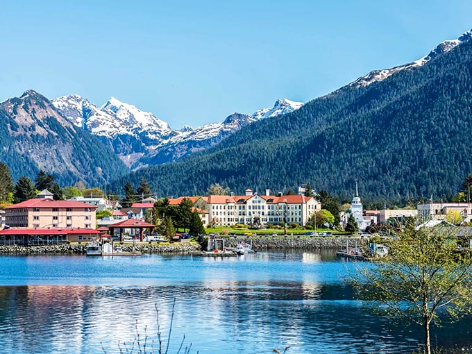 Sitka's waterfront presents a postcard come to life, where mountains meet harbor in a geographical handshake that never fails to impress visitors.