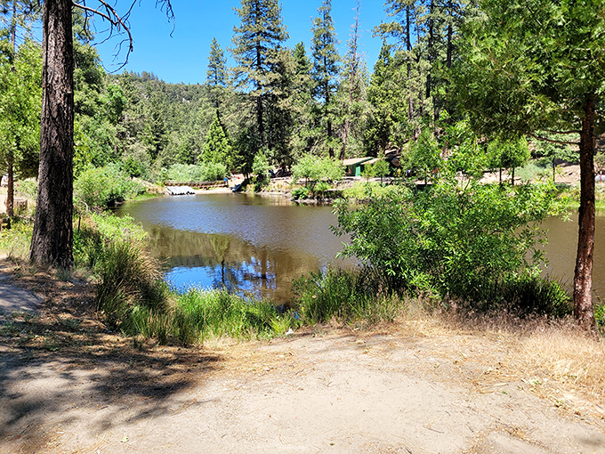 This serene mountain lake reflects the surrounding pines like nature's own mirror &ndash; a perfect spot for quiet contemplation.
