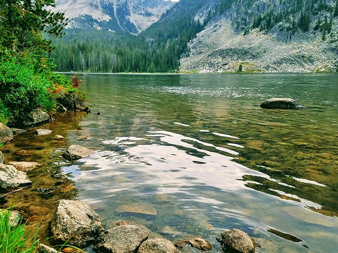 Mother Nature showing off again! This crystal-clear alpine lake in the Pioneer Mountains offers the kind of tranquility that makes smartphone notifications seem like a distant bad dream.