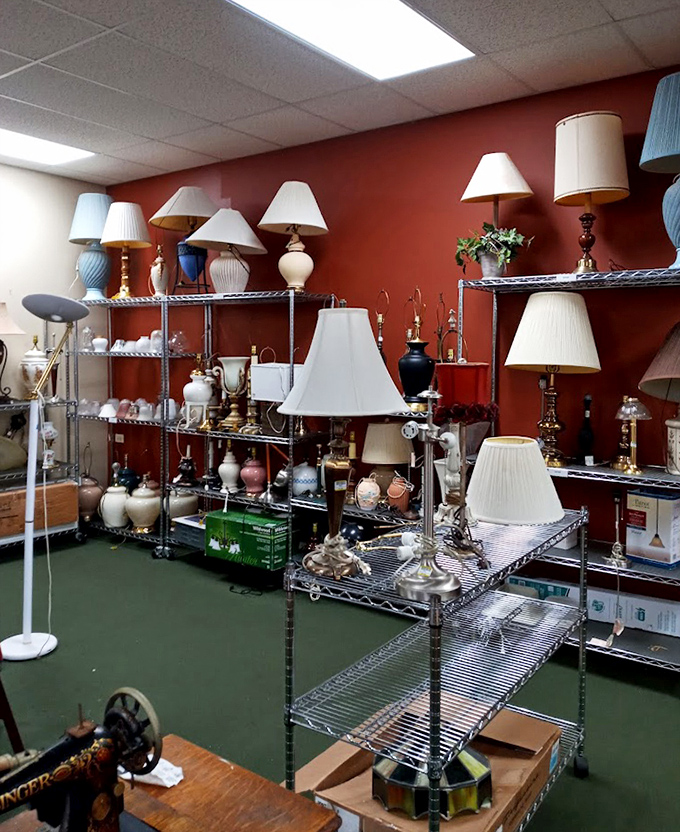 Lamp paradise! More lighting options than a Broadway stage, from kitschy conversation starters to elegant statement pieces that'll brighten any Illinois living room.