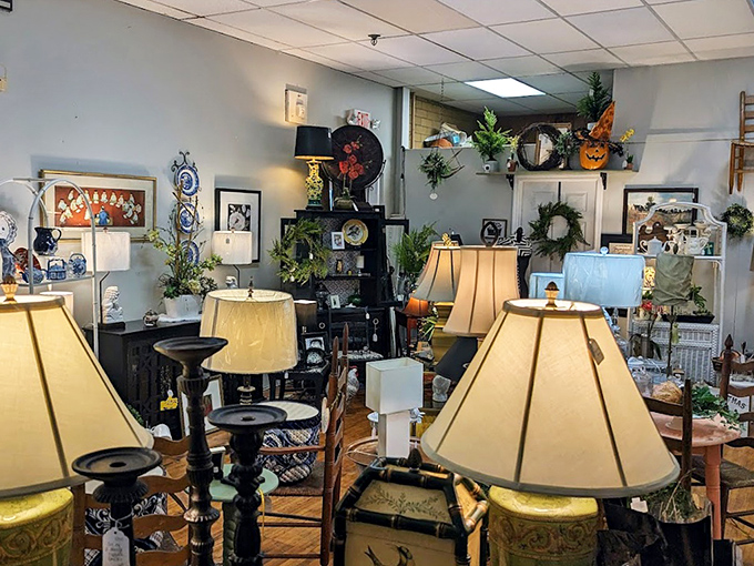 Lampshade heaven! The perfect lighting solution for your home is hiding here, just waiting to brighten both corners and conversations.