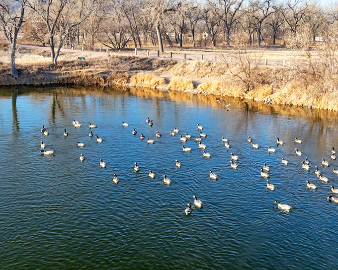 The North Platte River attracts more waterfowl than tourists, creating a peaceful sanctuary where retirement means reconnecting with nature's rhythms.