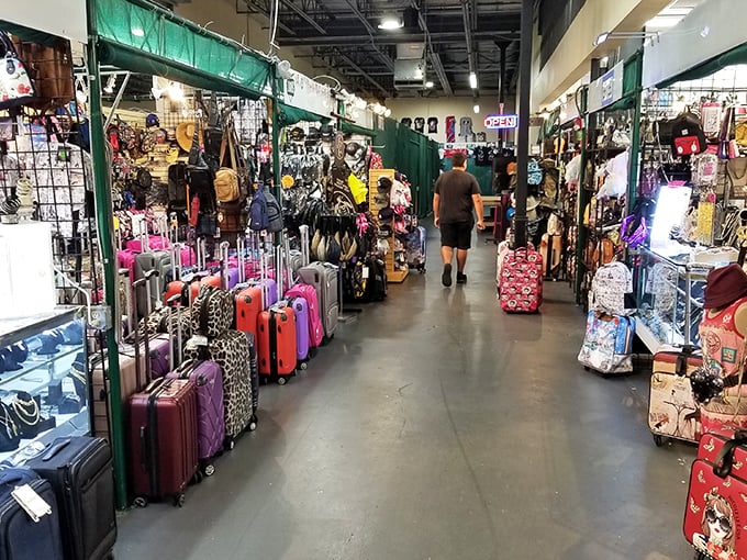 Luggage options for every journey, from weekend getaways to "I bought too much" emergencies.