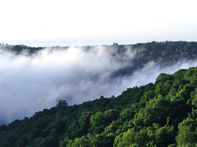 Morning fog blankets the gulf like nature's cotton candy, transforming the landscape into something straight from a fantasy novel.