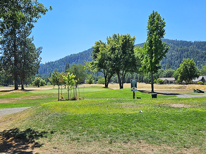 Mother Nature showing off again with that perfect golf course view. The mountains are basically saying, "Good luck focusing on your putt!"