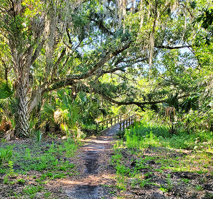 This shaded trail promises adventures worthy of Indiana Jones, minus the booby traps and plus comfortable walking shoes.