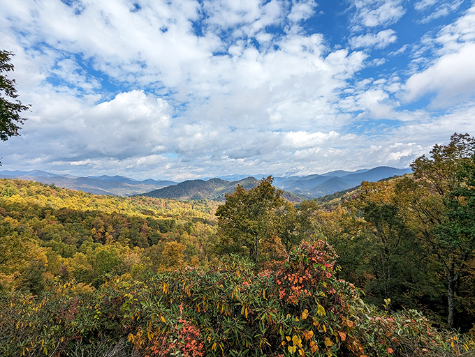 Fall in Georgia isn't just a season, it's a spectacular show. Nature's paintbrush transforms Black Rock Mountain into a masterpiece that makes even non-hikers reach for their boots.