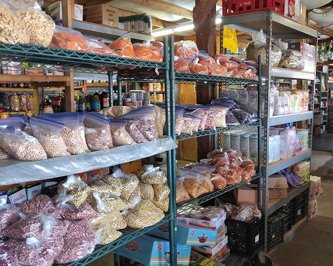 Bags of mystery and possibility &ndash; because sometimes the best treasures come wrapped in clear plastic and priced to move.