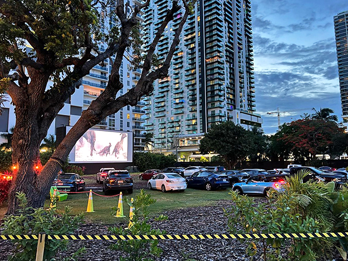 Nature and concrete coexist as ancient trees frame the viewing area, creating a surprisingly serene pocket within Miami's urban landscape.