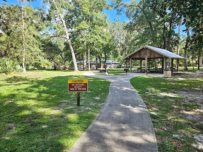 Picnic paradise awaits under the dappled sunlight, where "No Lifeguard" signs remind you this isn't your average backyard barbecue spot.
