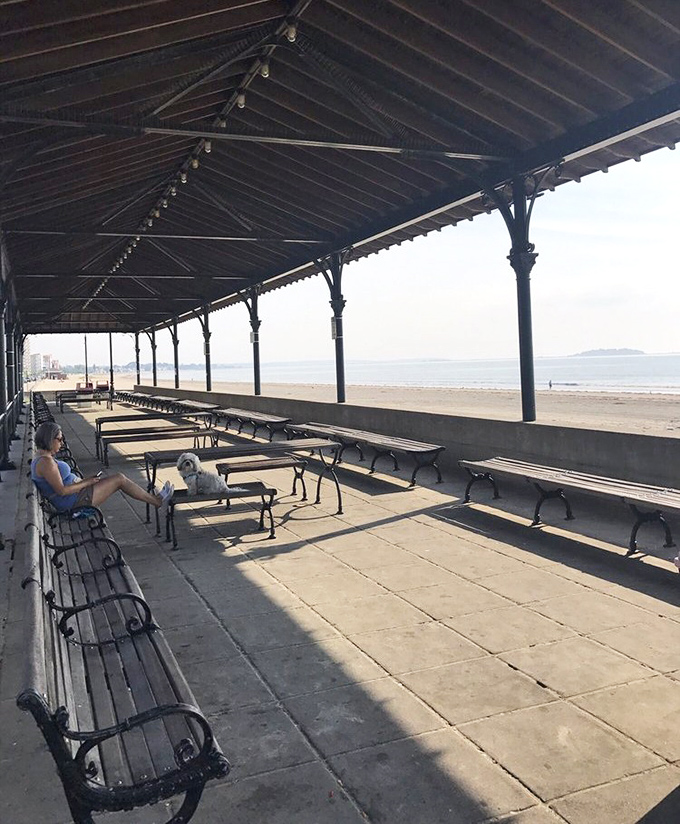 The historic pavilion stands sentinel over the shoreline, its Victorian bones offering shade and perspective to generations of beachgoers.