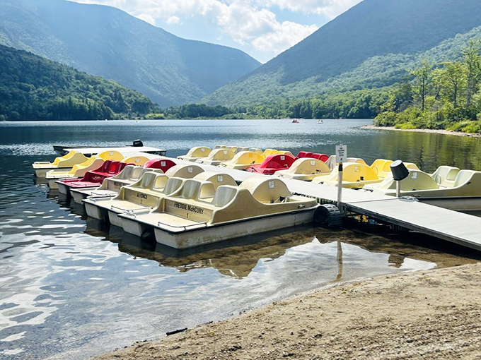 Paddle boats await their captains. These cheerful vessels offer the perfect middle ground between "I want to be on the water" and "I don't want to get wet."