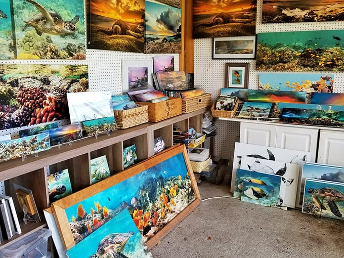 Ocean life captured in stunning detail &ndash; these photographs transform any mainland living room into a daily Hawaiian getaway.