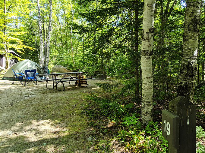Campsite #19: Your temporary address in paradise. The picnic table patiently waits for your morning coffee ritual and evening s'mores assembly.