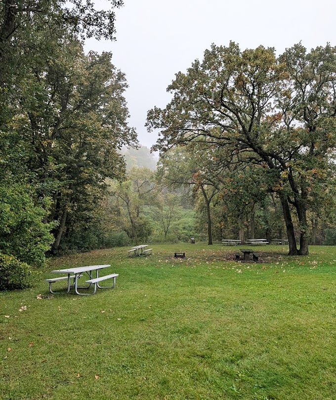 Picnic tables scattered like chess pieces on nature's board, waiting for families to make their move.