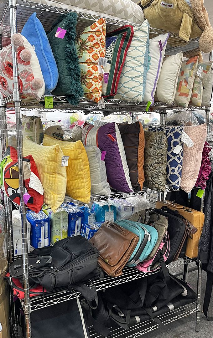 The pillow section: where someone else's "no longer sparks joy" becomes your living room's colorful transformation.