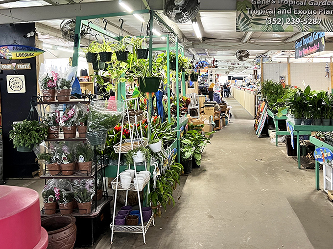 Plant lovers, prepare your car trunks! Gene's Tropical Garden offers enough greenery to transform your patio into a mini Everglades.