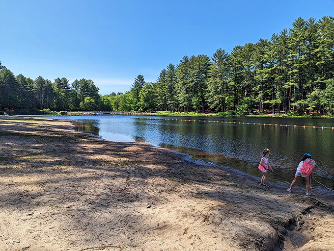 Summer's perfect stage: a sandy beach meets crystal water while pine sentinels stand guard. Spoiler alert: no Wi-Fi password required.