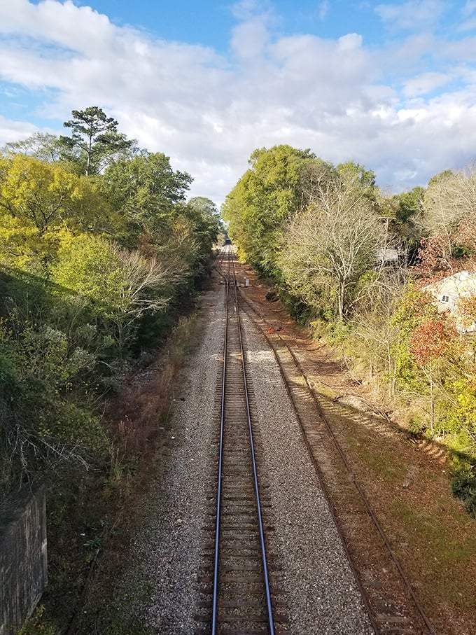 Railroad tracks cutting through greenery&mdash;a reminder of Opelika's industrial roots and the slower pace that makes retirement here so appealing.